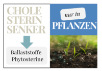 Lebensmittel mit viel Cholesterin: >Tabelle