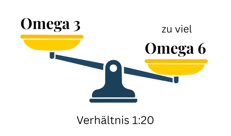 Omega-6-Fettsäuren-Wirkung: Warum eine Belastung?
